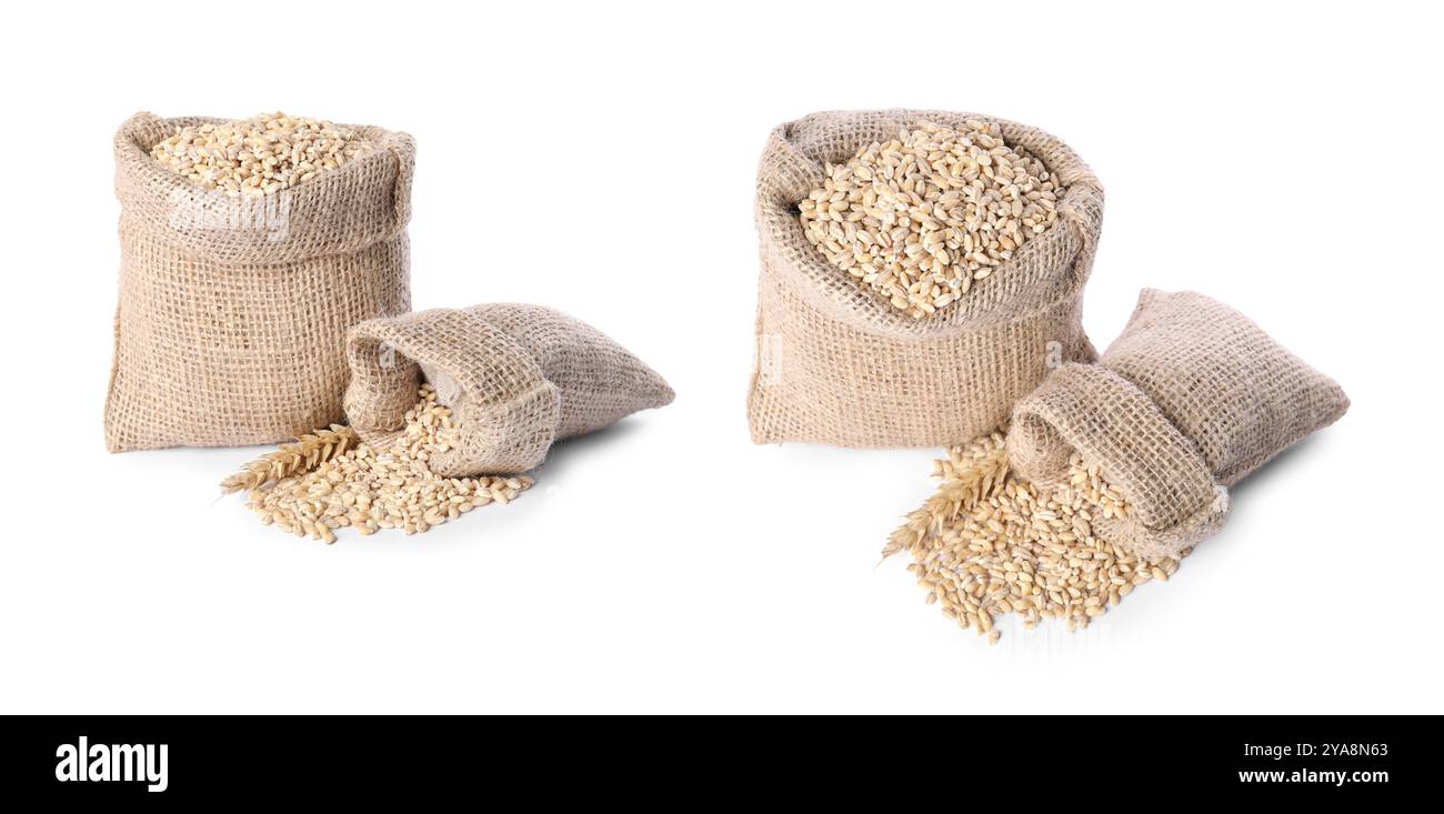Burlap bags with pearl barley isolated on white, collage Stock Photo ...