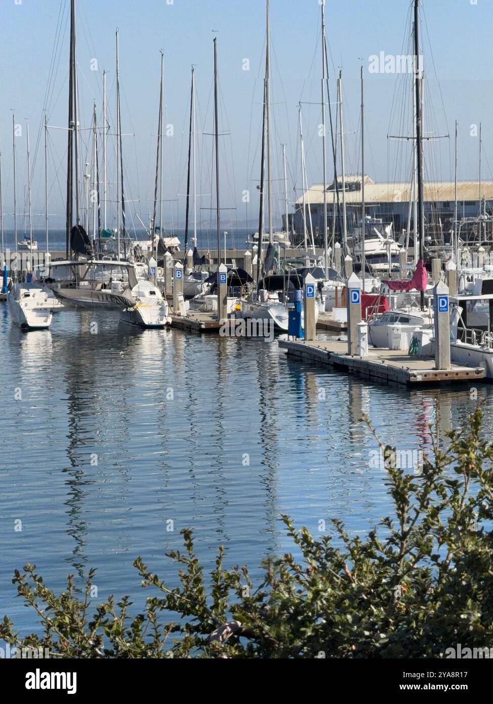 Old fishermans warf hi-res stock photography and images - Alamy