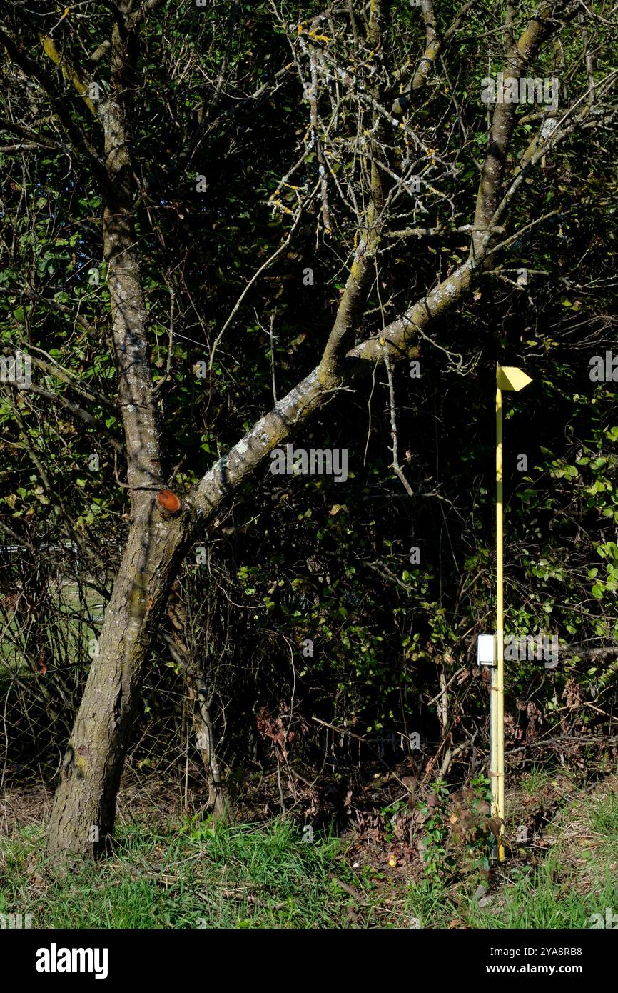 yellow roadside marker post rural village indicating pinpointing ...
