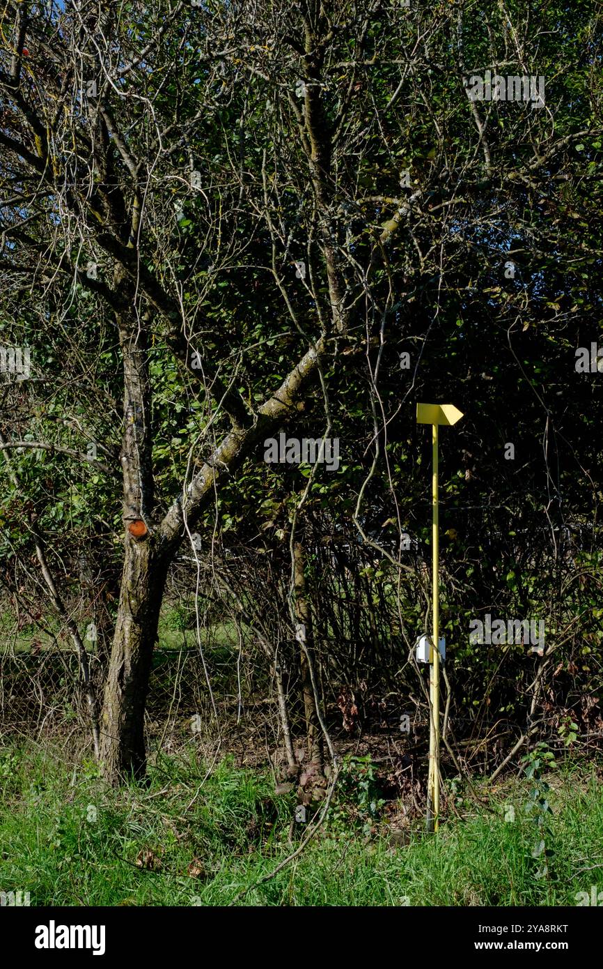 yellow roadside marker post rural village indicating pinpointing ...