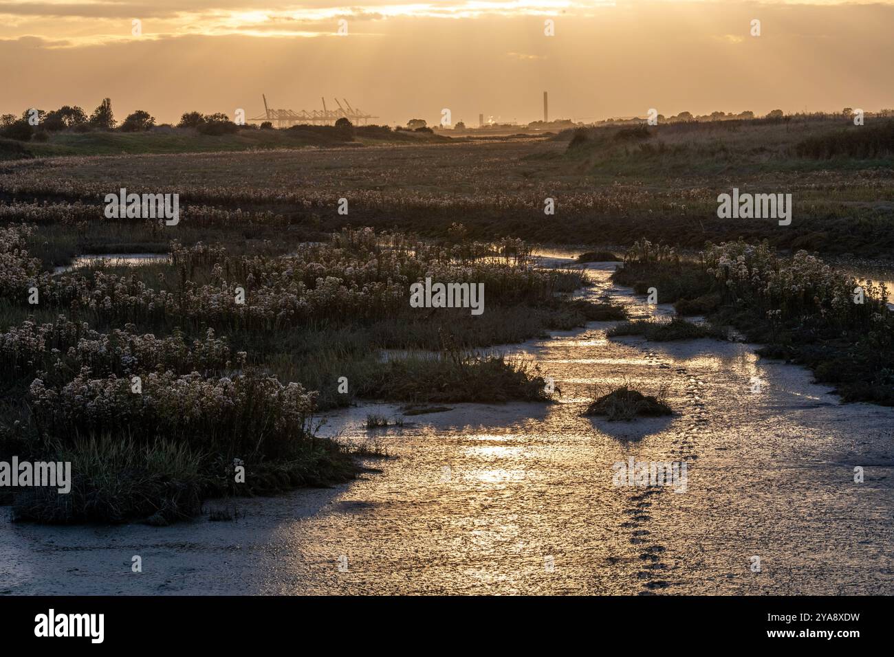 Sunset across the lagoon from the RSPB bird hide at Two Tree Island ...