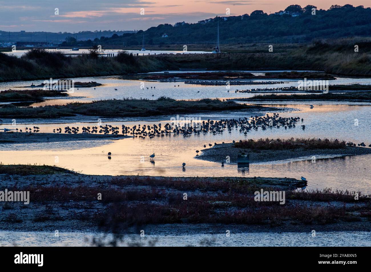 Sunset across the lagoon from the RSPB bird hide at Two Tree Island ...