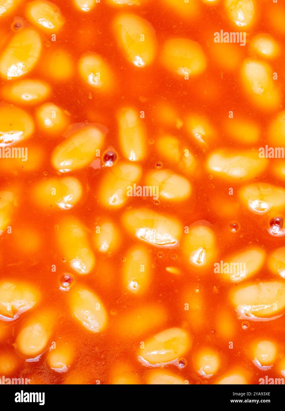 Close up details of traditional pre-cooked,shop bought baked common pea ...