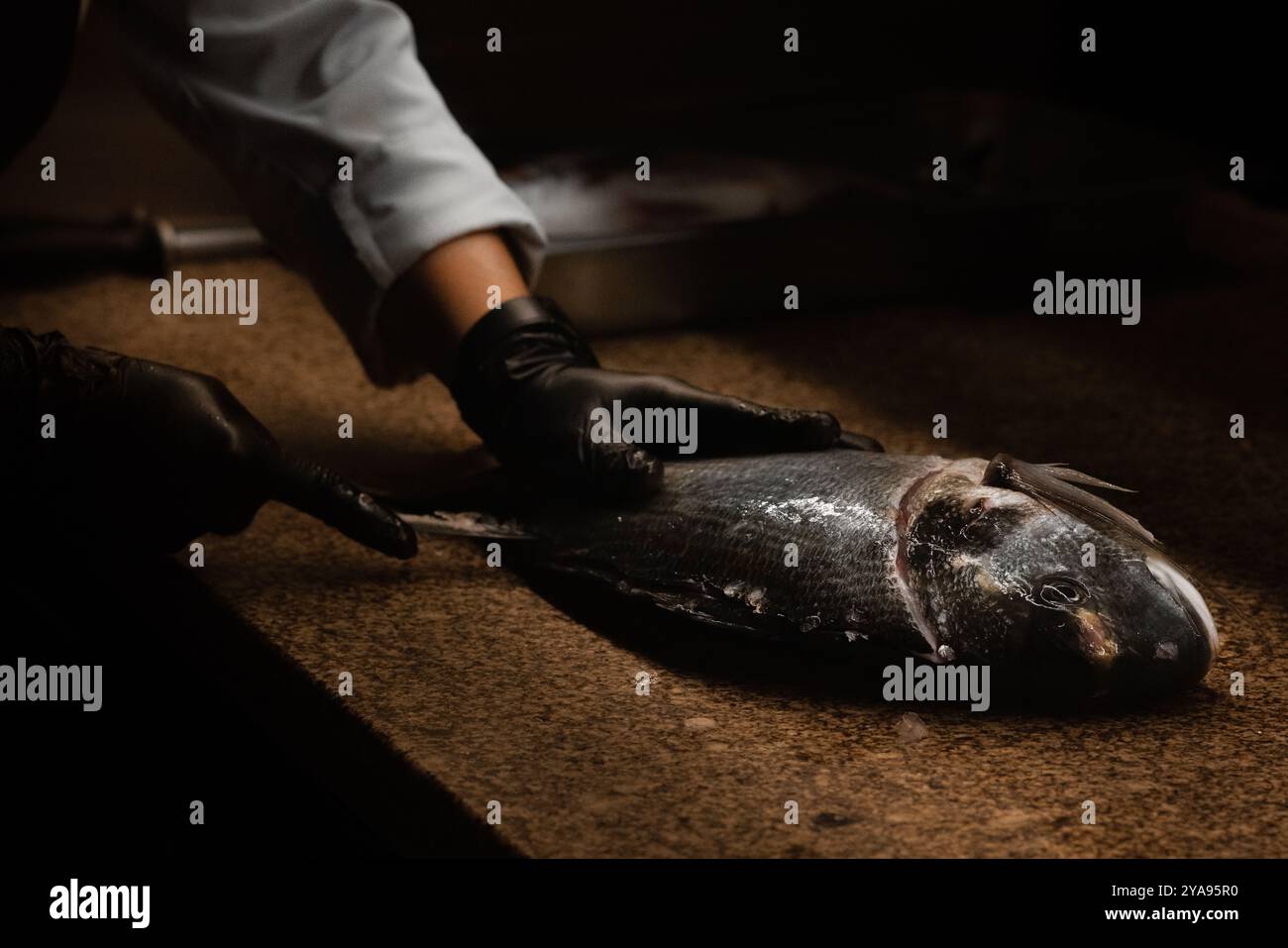 Daurade fish preparation is essential for a successful culinary ...