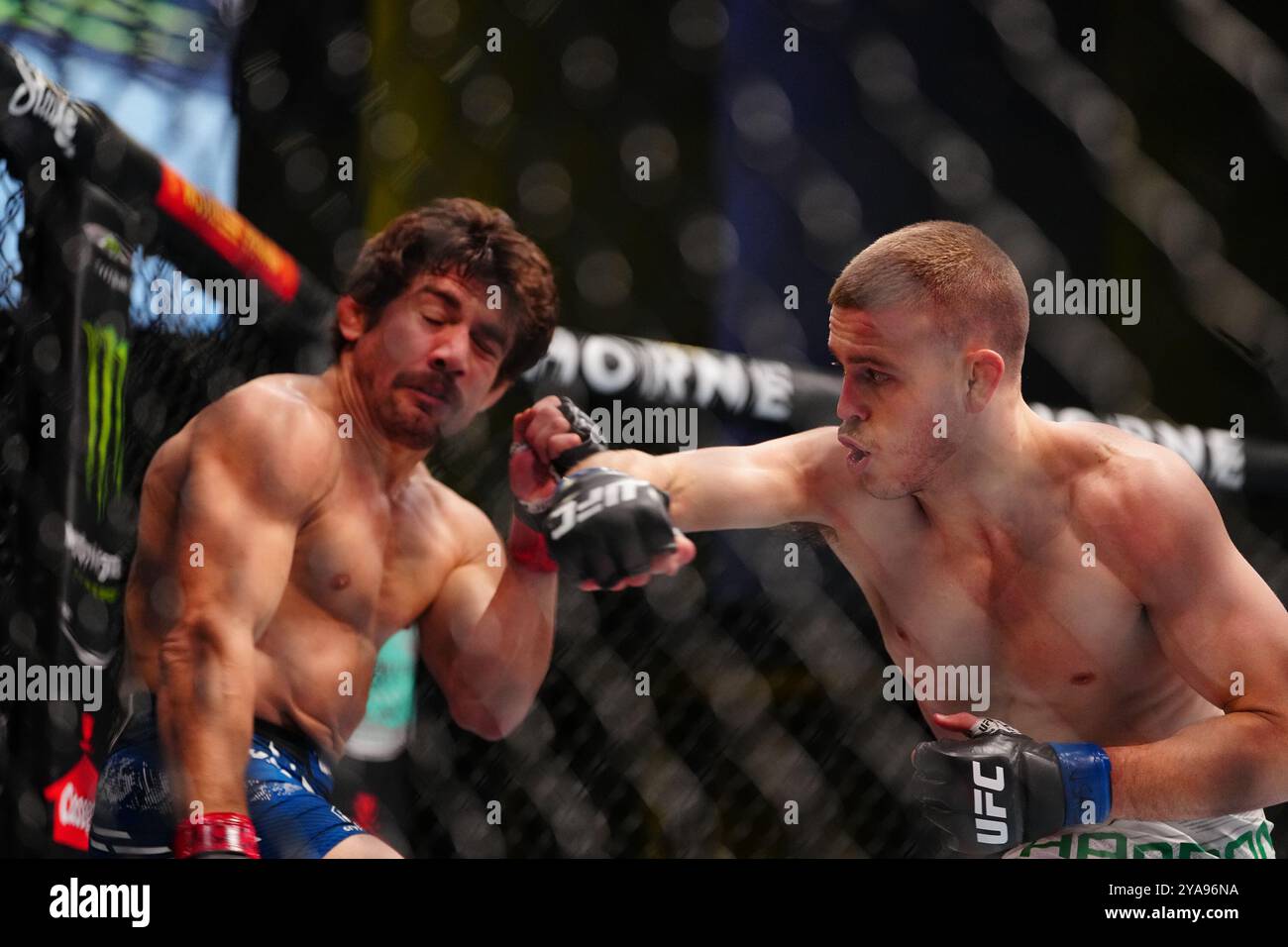 October 12, 2024, Las Vegas, Nv, Las Vegas, Nv, United States: Dan ...