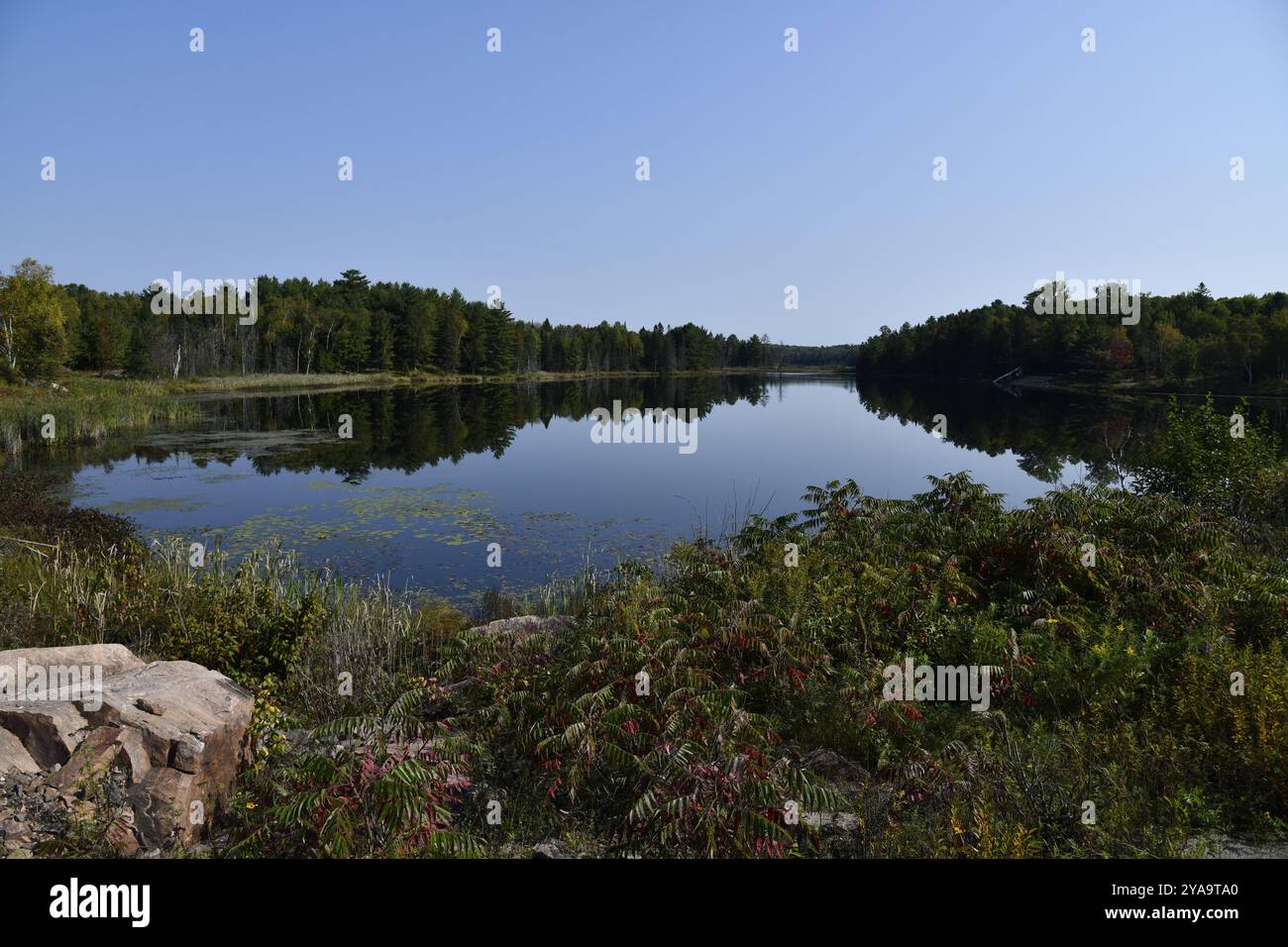 Bedrock of the Canadian pre Cambrian shield by a small calm summer lake ...