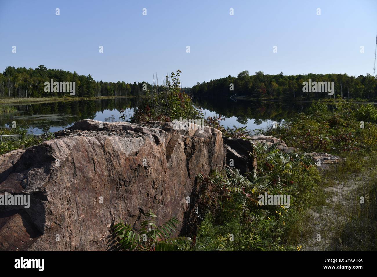 Bedrock of the Canadian pre Cambrian shield by a small calm summer lake ...