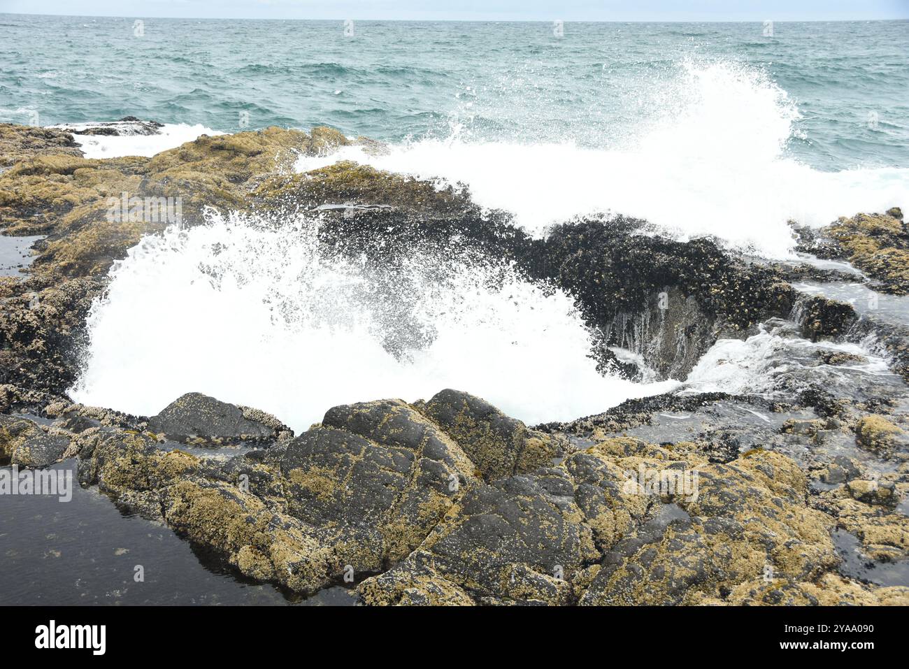 Wonder well hi-res stock photography and images - Alamy
