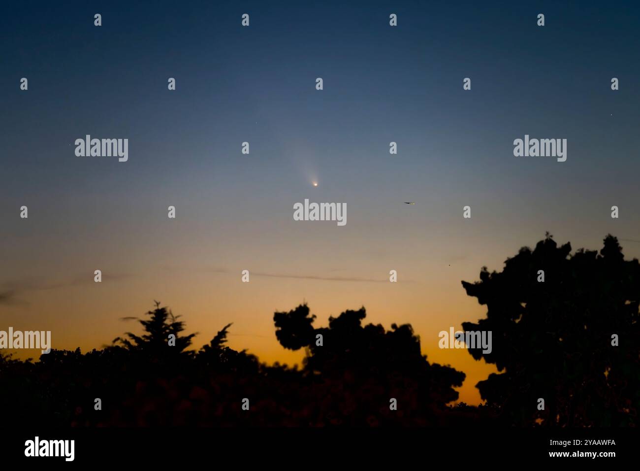 Wimbledon, London, UK. 12th Oct, 2024. Comet C/2023 A3 Tsuchinshan ...