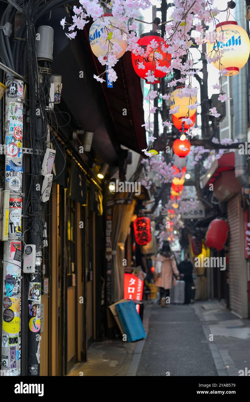 Shinjuku - Scenic details of iconic Tokyo, JP Stock Photo - Alamy