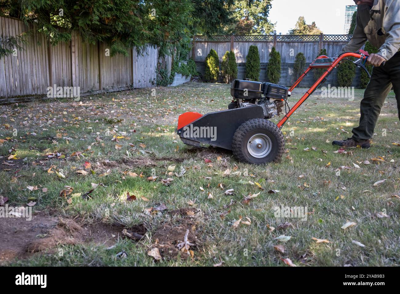 Senior man operating a gas powered stump grinding machine to cut back ...