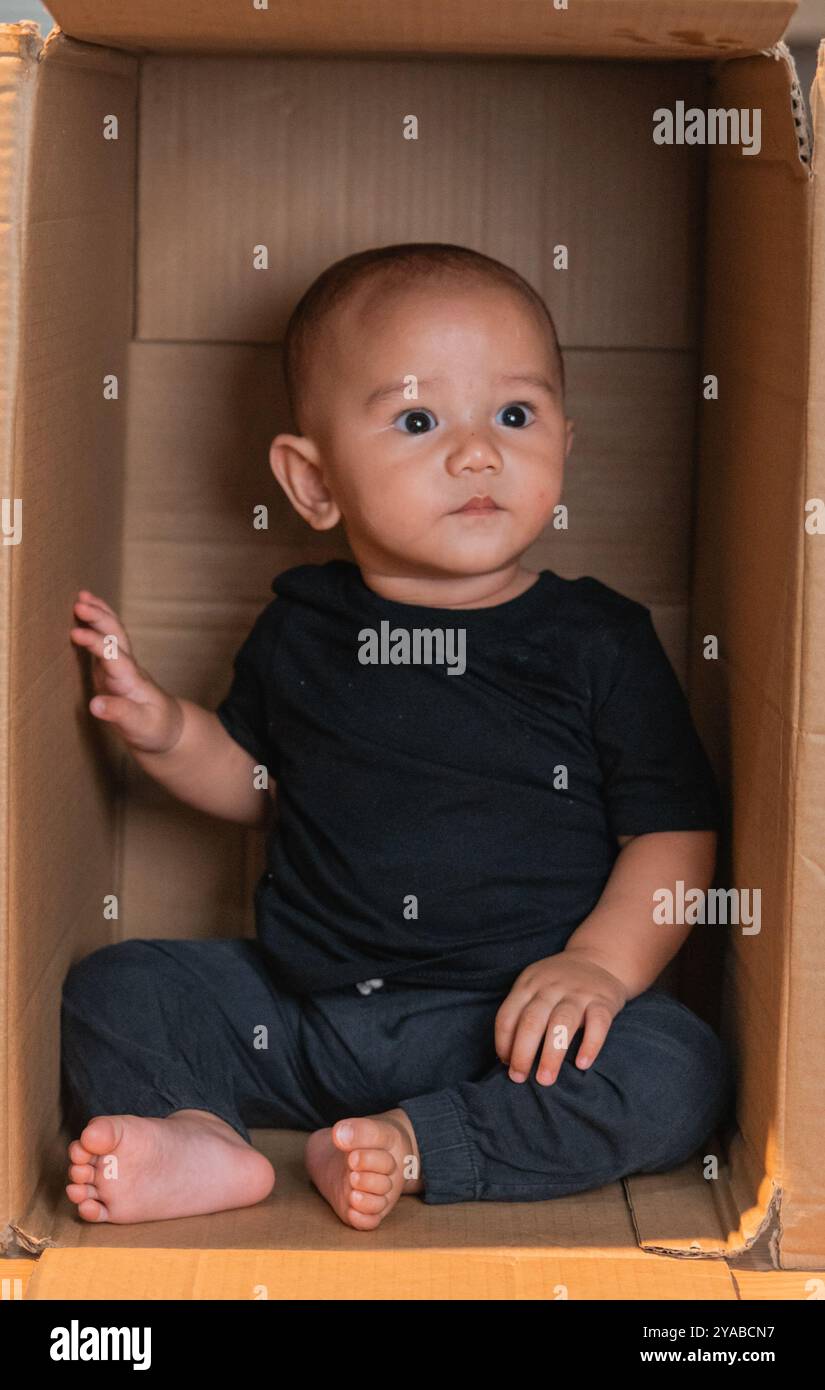 A Toddler Sitting in a Cardboard Box, Capturing Pure Joy and Childhood ...