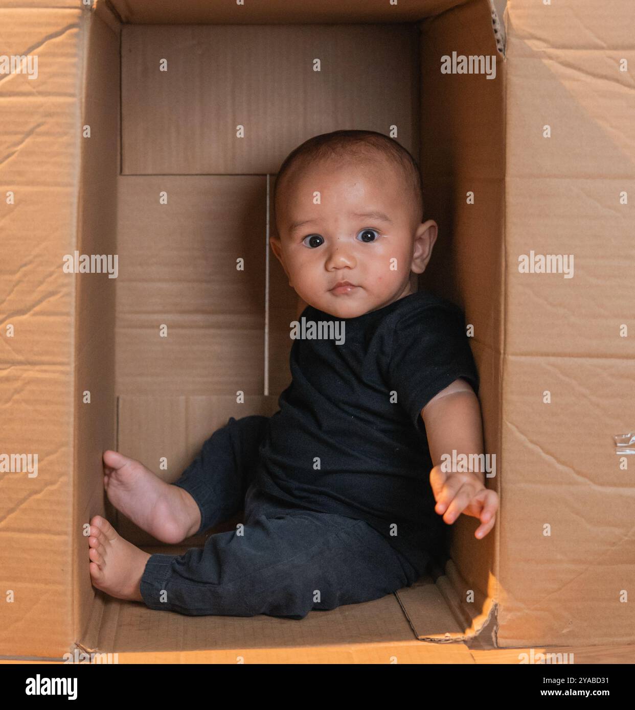 An Adorable Baby Happily Sitting Inside a Cozy Cardboard Box, Full of ...