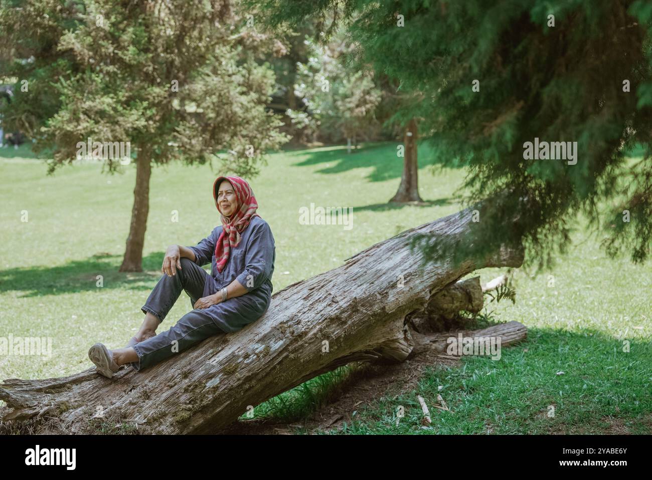 Enjoy a serene moment in nature on a fallen tree, appreciating outdoor ...