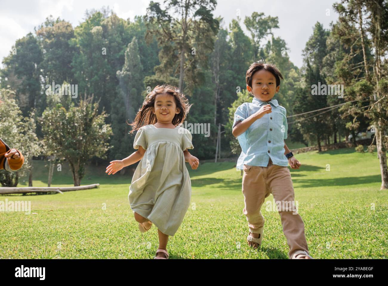A group of children are playing joyfully in a vibrant and lush green ...