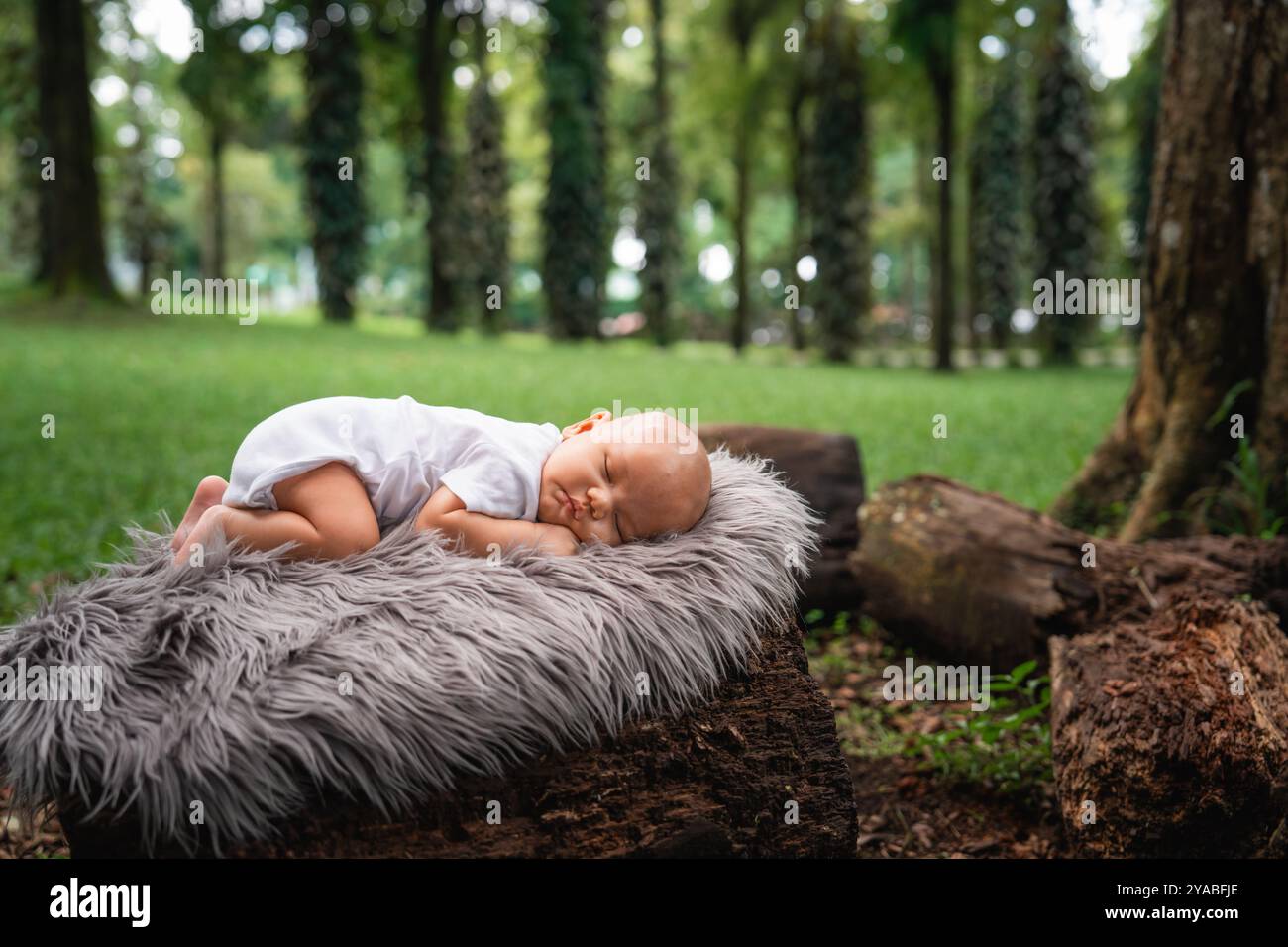 Adorable Baby Napping Peacefully in Nature While Surrounded by ...