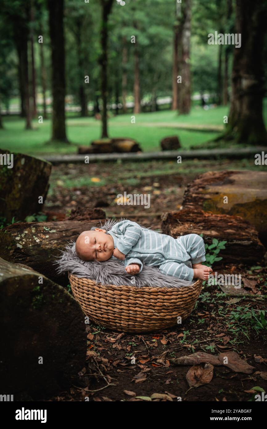 Sleepy Baby in Nature Peaceful and Beautiful Outdoor Newborn ...