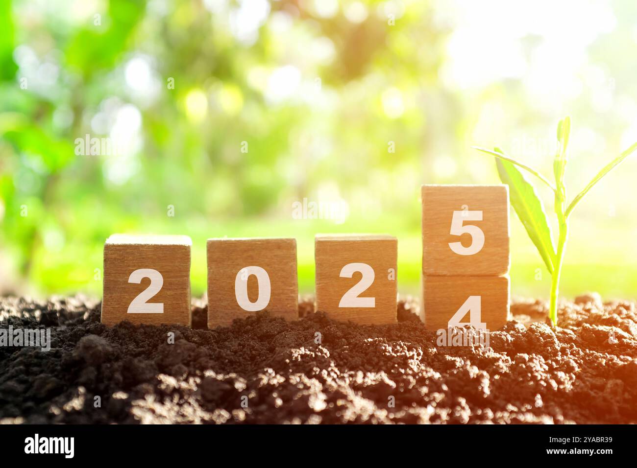 Hand changing year 2024 to 2025 in wooden blocks with growing plant at ...