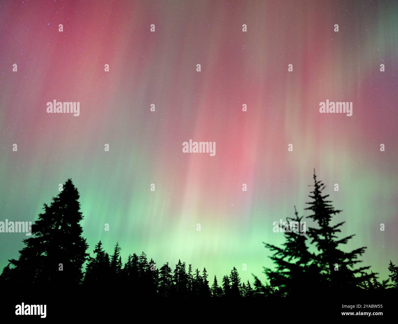 aurora borealis in the north cascades during the 10-10-2024 solar storm ...