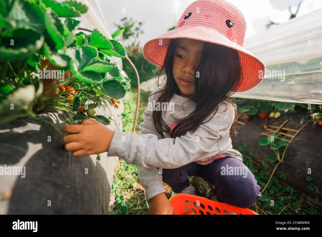 Budding girl hi-res stock photography and images - Alamy