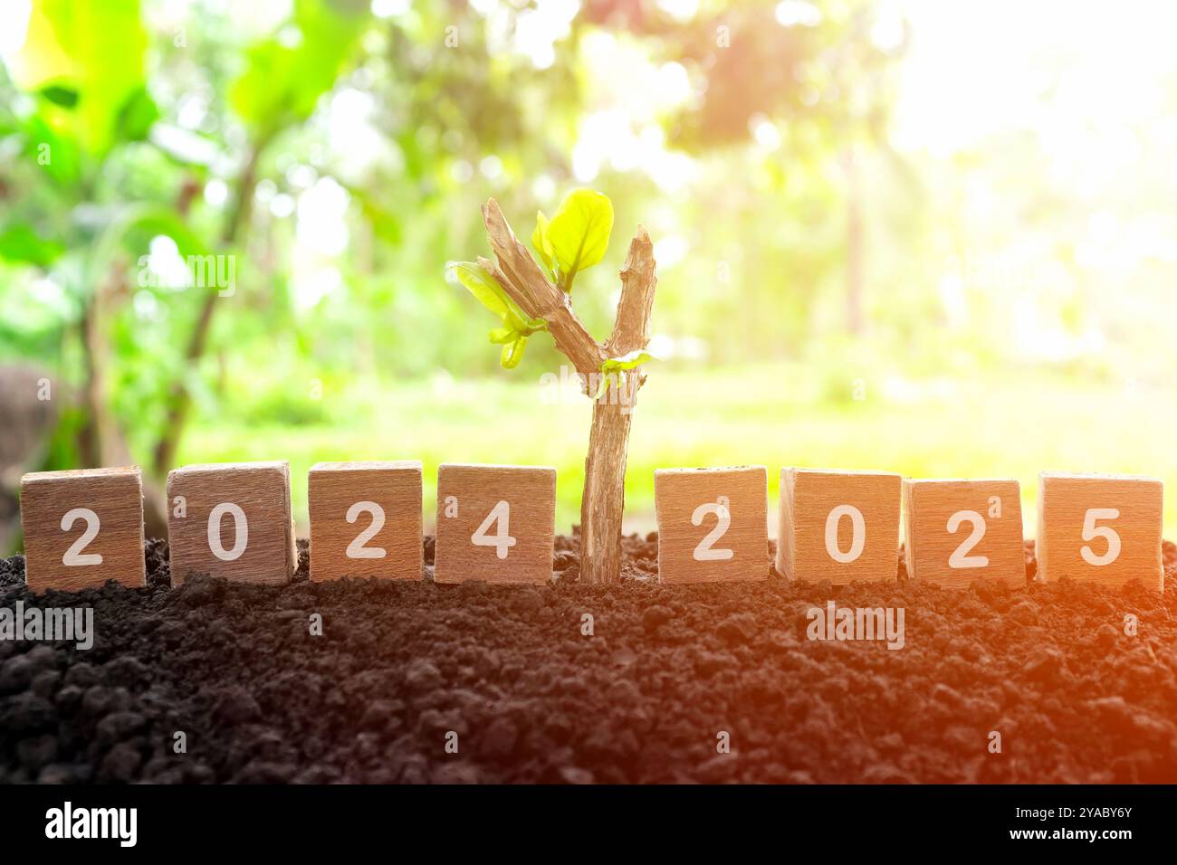 2024 to 2025 hi-res stock photography and images - Alamy