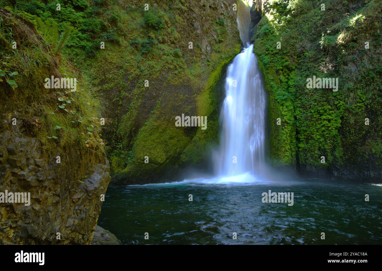 Massive waterfall cascades down a mossy, lush rock wall festooned with ...