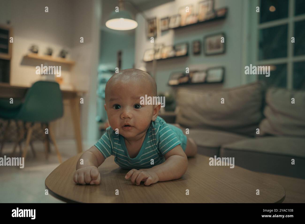 Charming baby is happily crawling on a table in an inviting living room ...