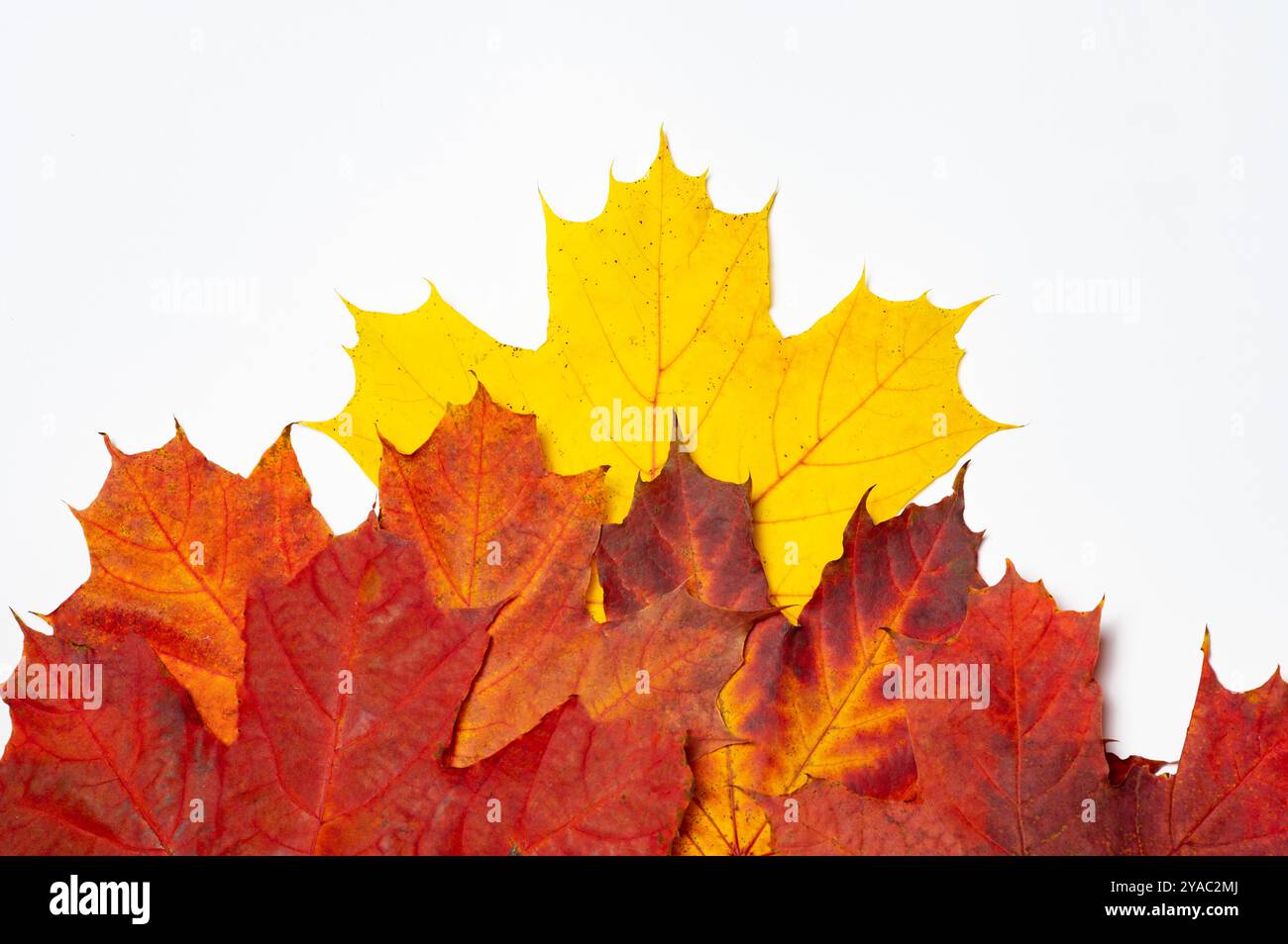 Autumnal Equinox. Canada Day. Winter solstice the end of autumn. Red ...