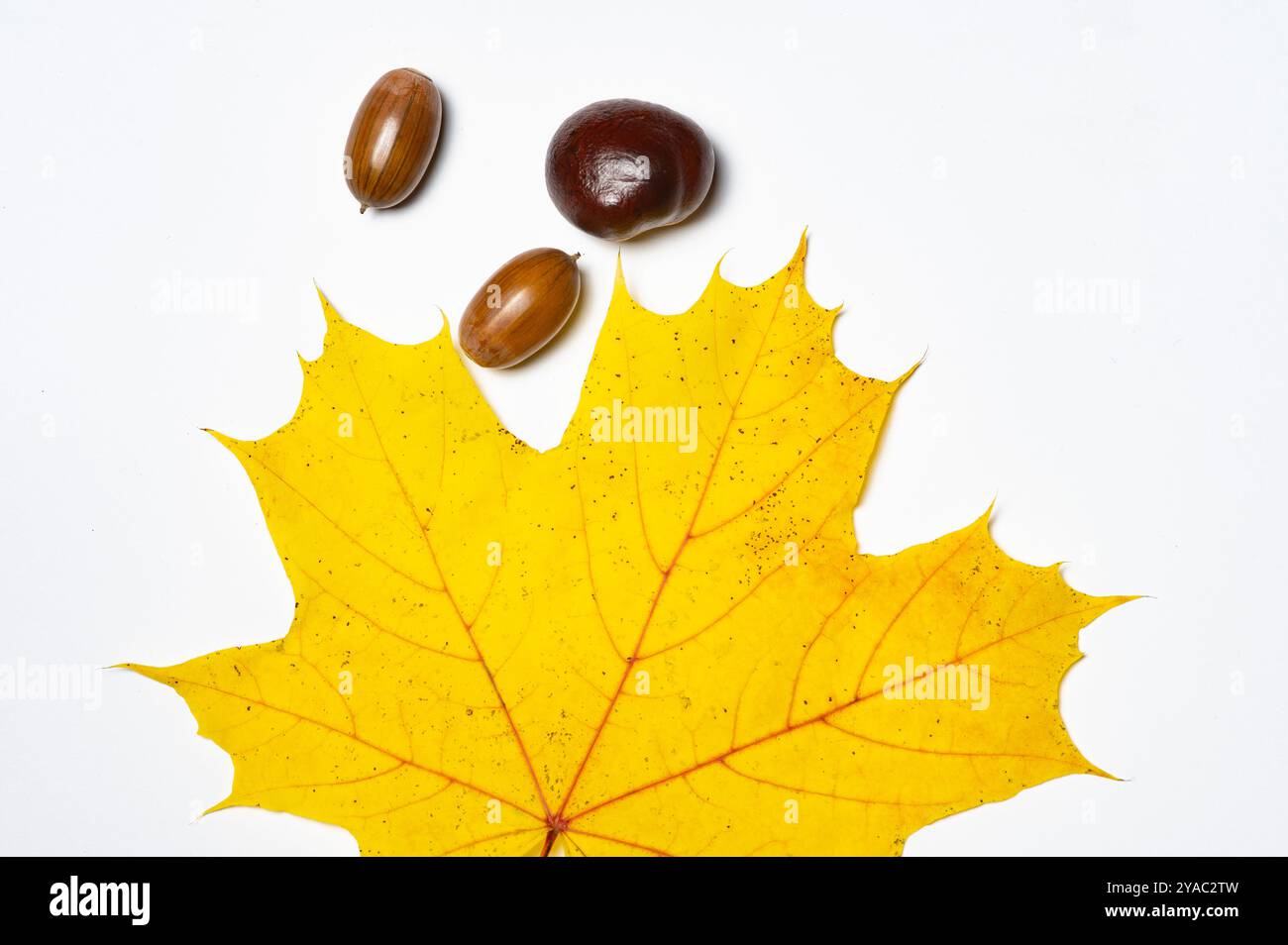 Autumnal Equinox. Canada Day. Winter solstice the end of autumn. Red ...