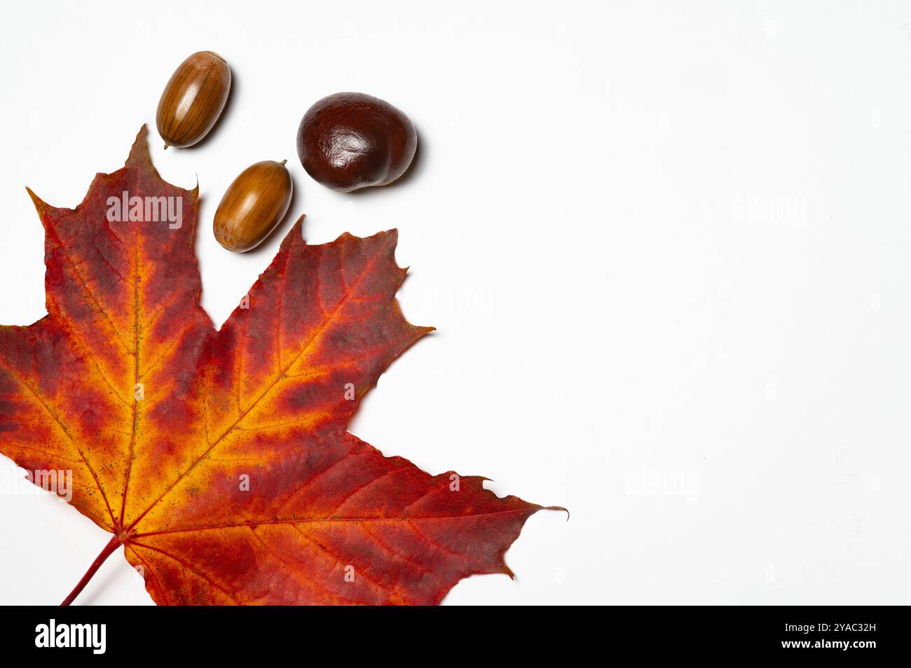 Autumnal Equinox. Canada Day. Winter solstice the end of autumn. Red ...