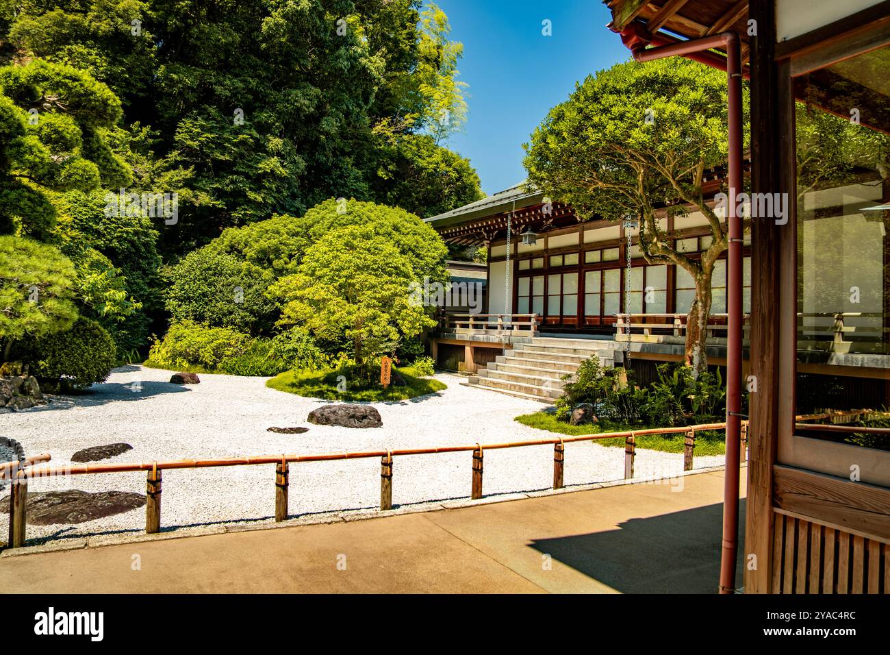 Hokoku ji Temple bamboo forest in Kamakura, Kanagawa, Japan Stock Photo ...