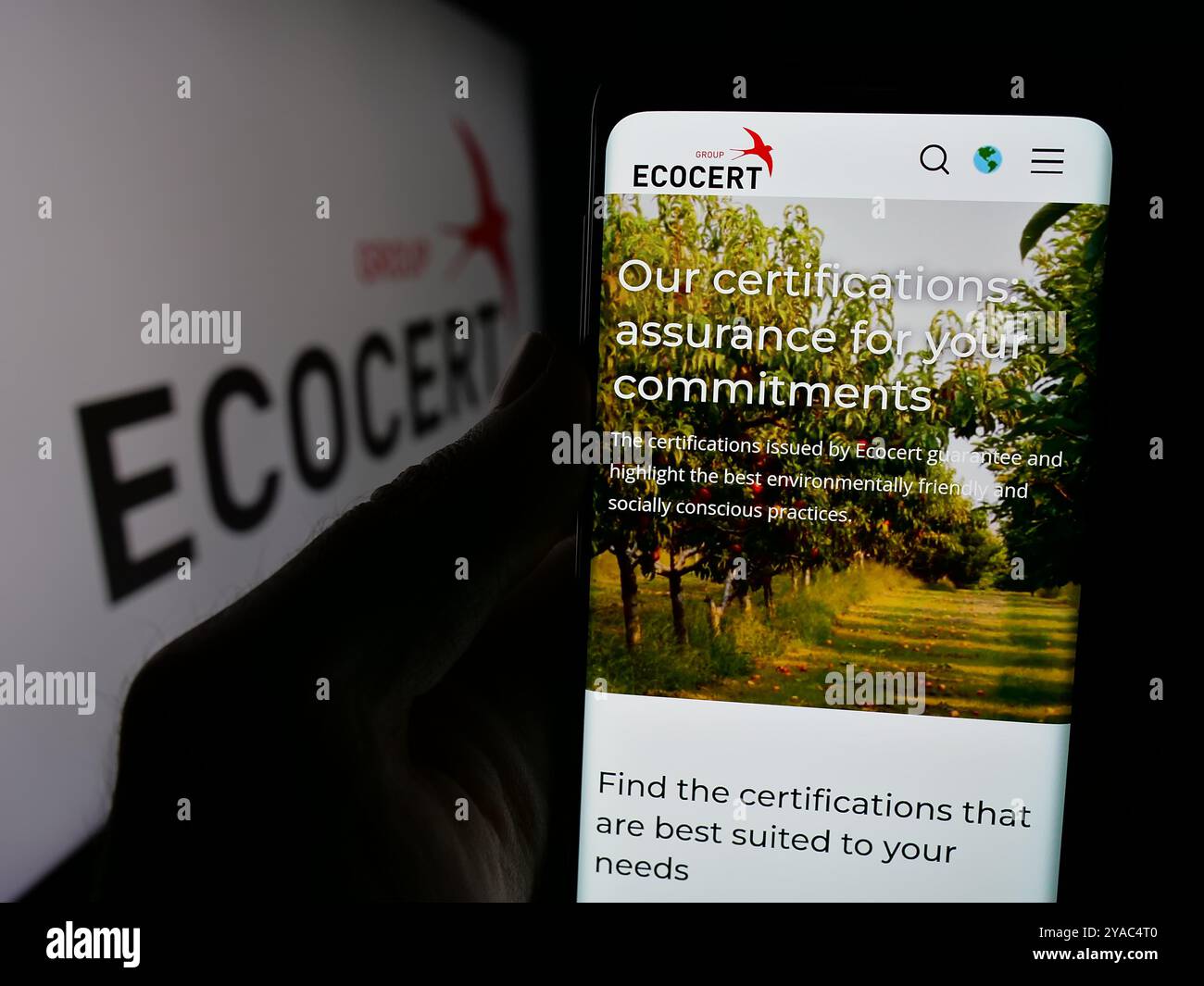 Person holding cellphone with webpage of organic certification ...