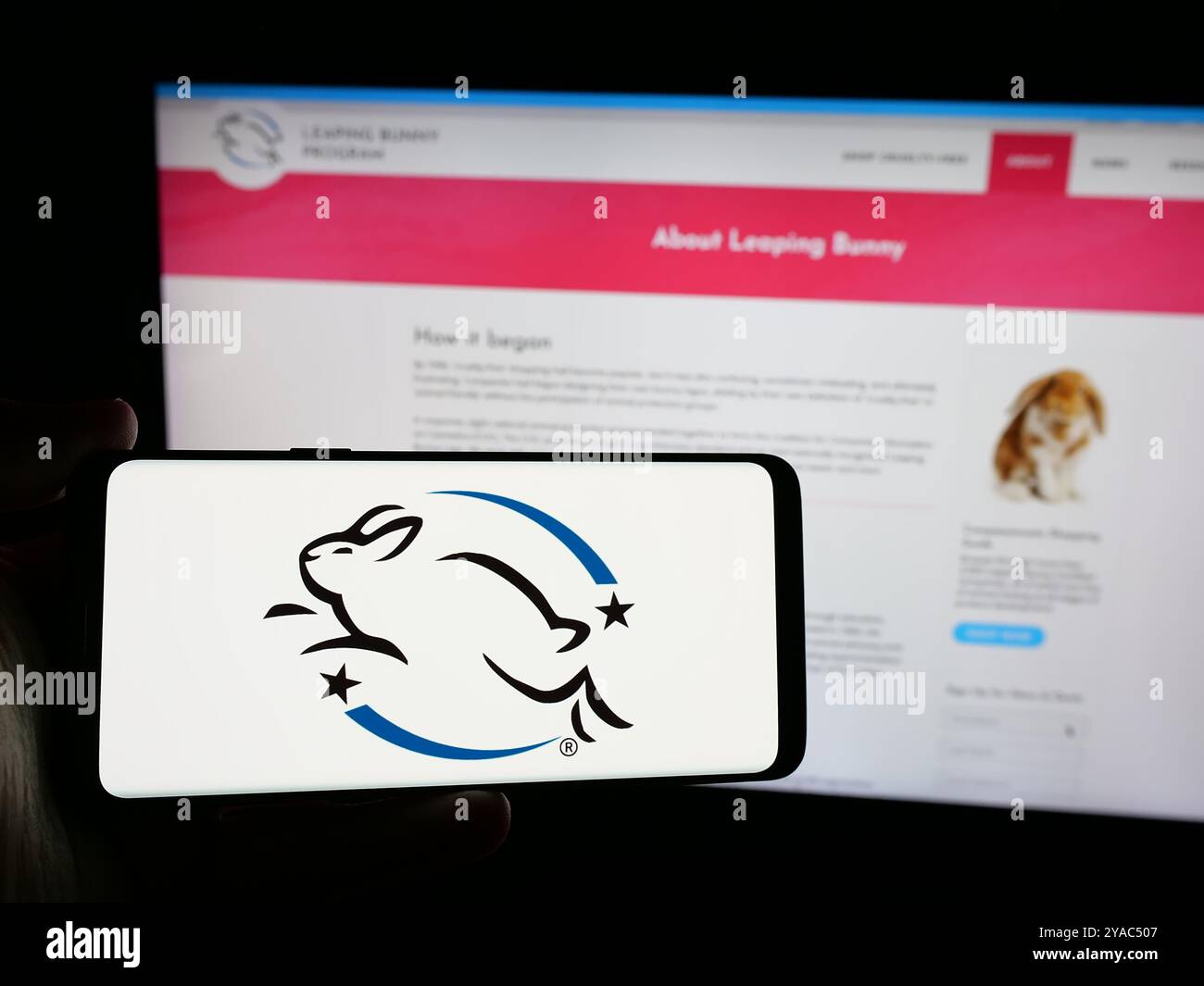 Leaping bunny program hi-res stock photography and images - Alamy