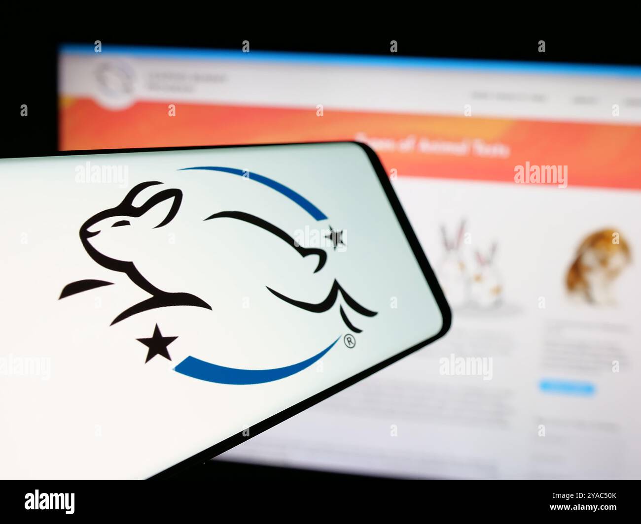 Leaping bunny products hi-res stock photography and images - Alamy