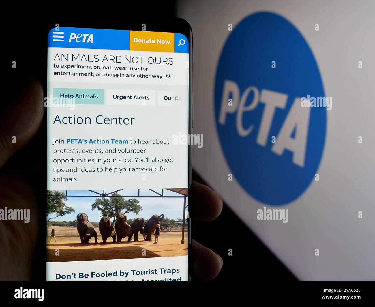 Person holding cellphone with web page of People for the Ethical ...