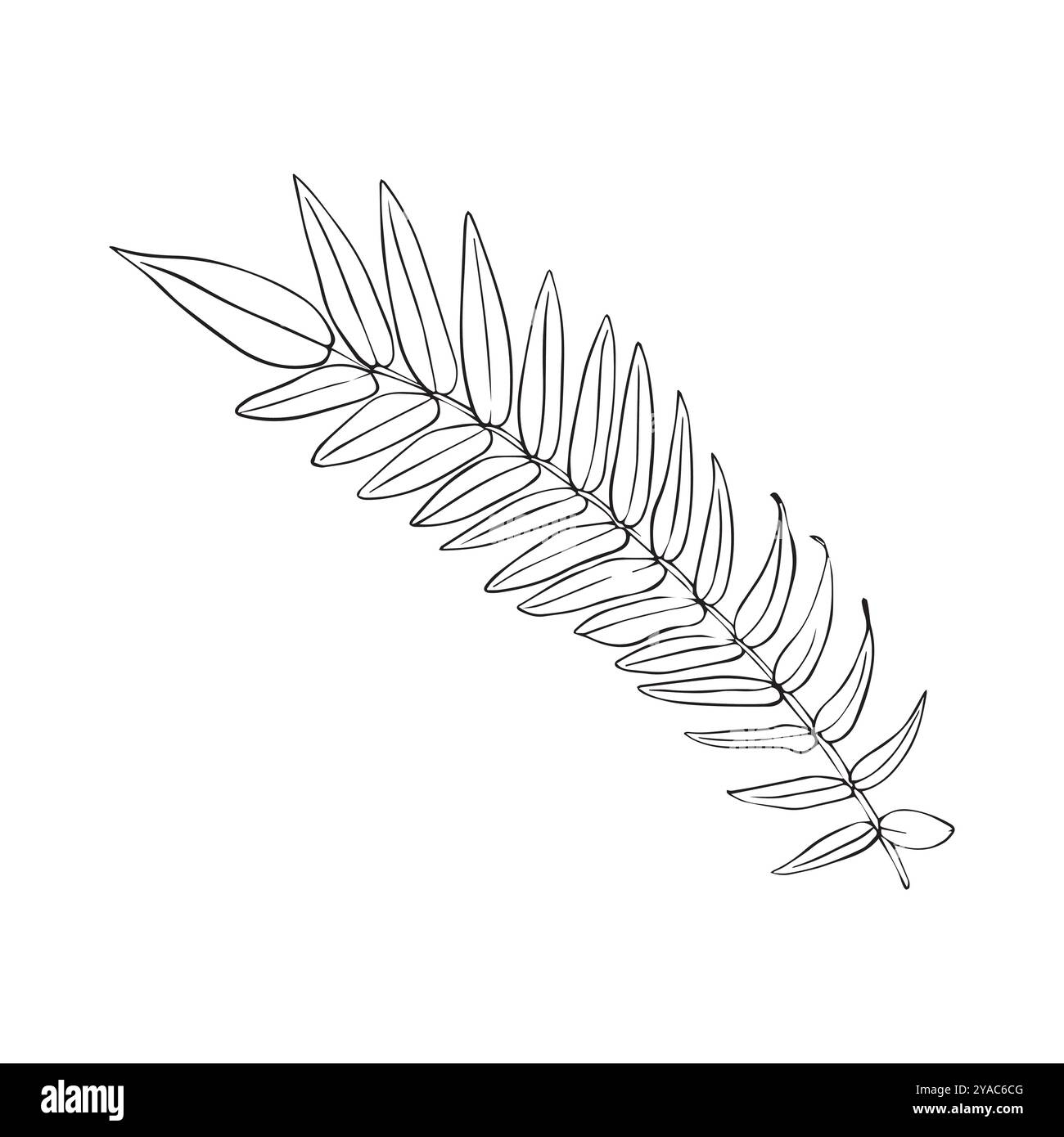 Unicorn sumac leaf drawn in line style. Rus Staghorn sumac Stock Vector ...