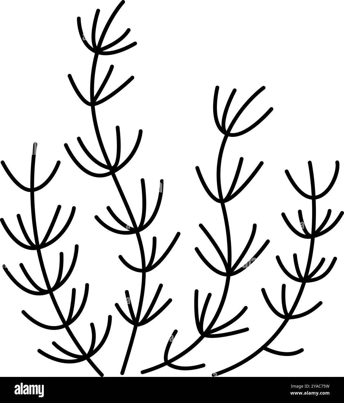 Bra design Cut Out Stock Images & Pictures - Alamy