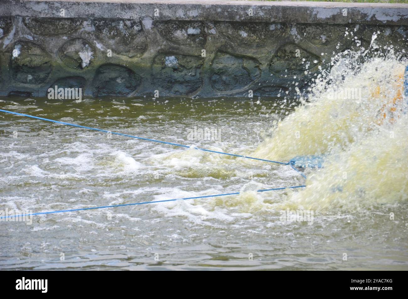 blue and yellow Waterwheel in a pond of shrimp Stock Photo - Alamy