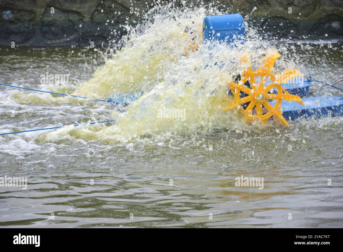 blue and yellow Waterwheel in a pond of shrimp Stock Photo - Alamy