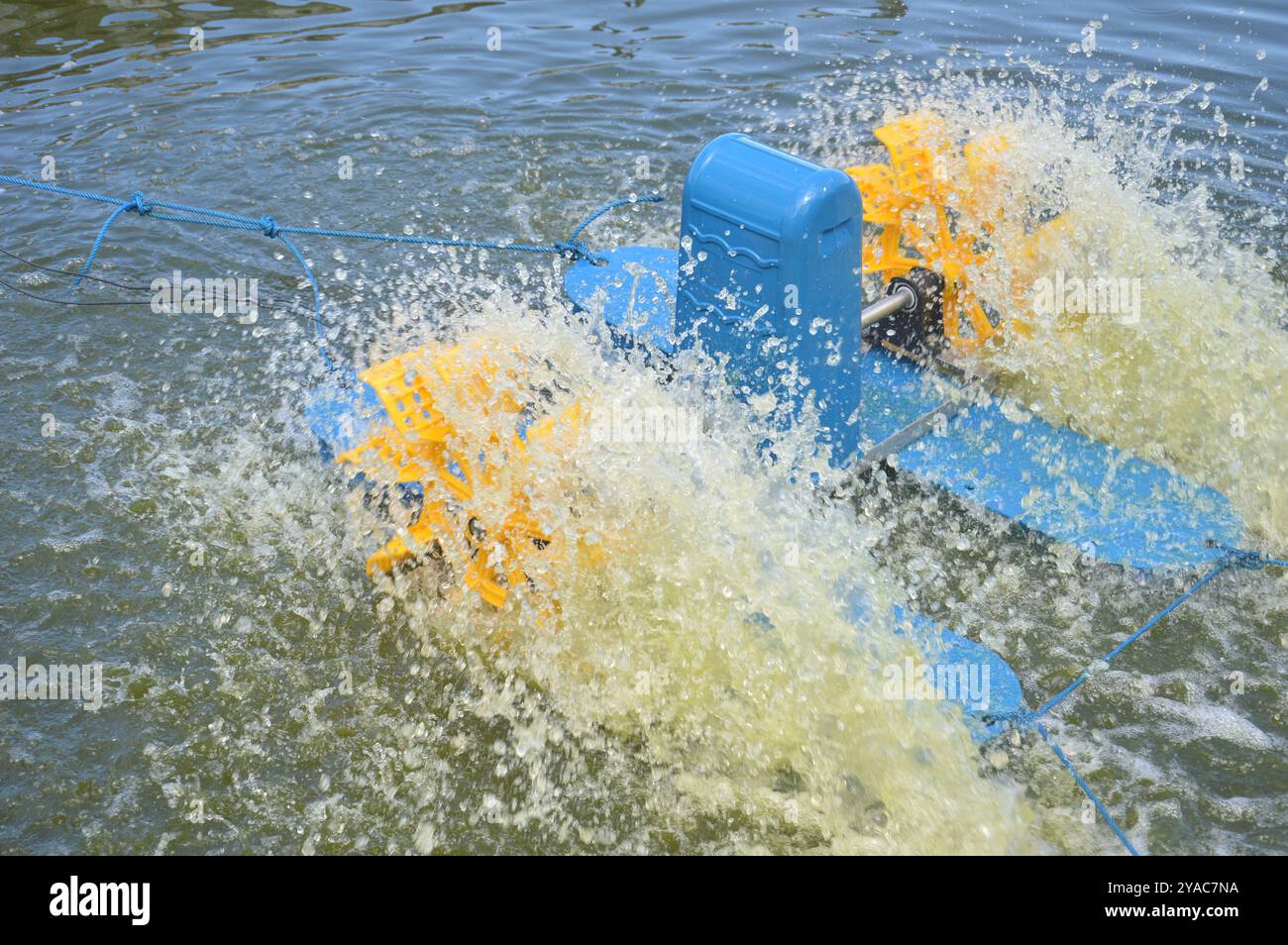 blue and yellow Waterwheel in a pond of shrimp Stock Photo - Alamy