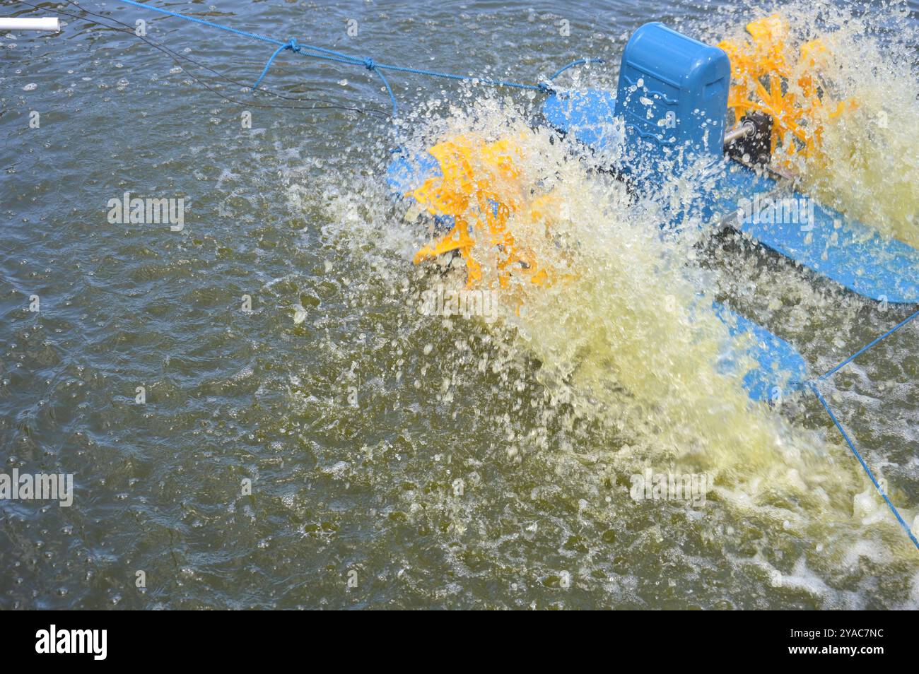 blue and yellow Waterwheel in a pond of shrimp Stock Photo - Alamy