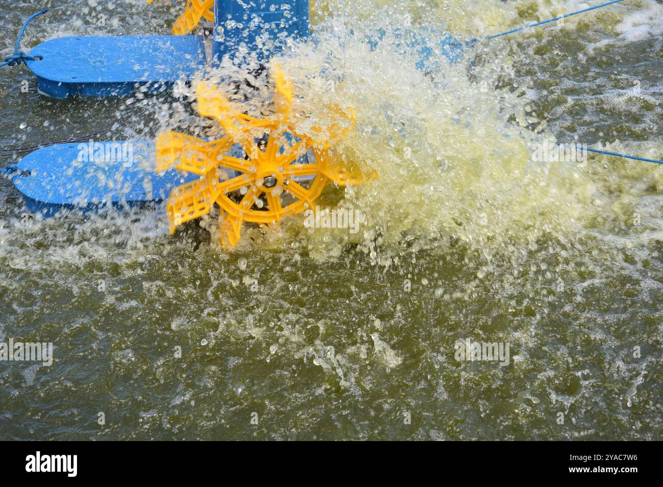 blue and yellow Waterwheel in a pond of shrimp Stock Photo - Alamy