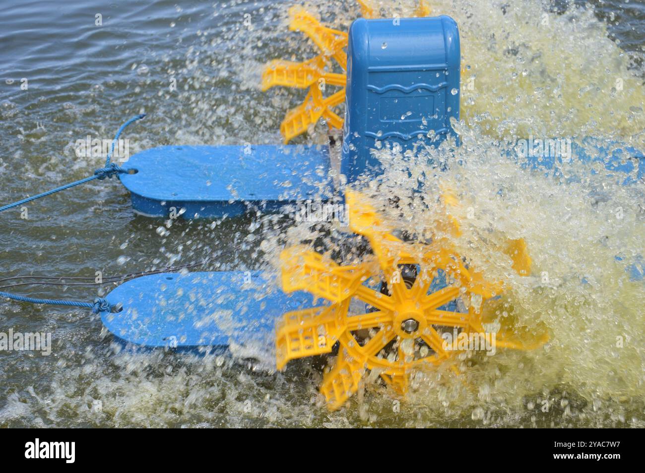 blue and yellow Waterwheel in a pond of shrimp Stock Photo - Alamy