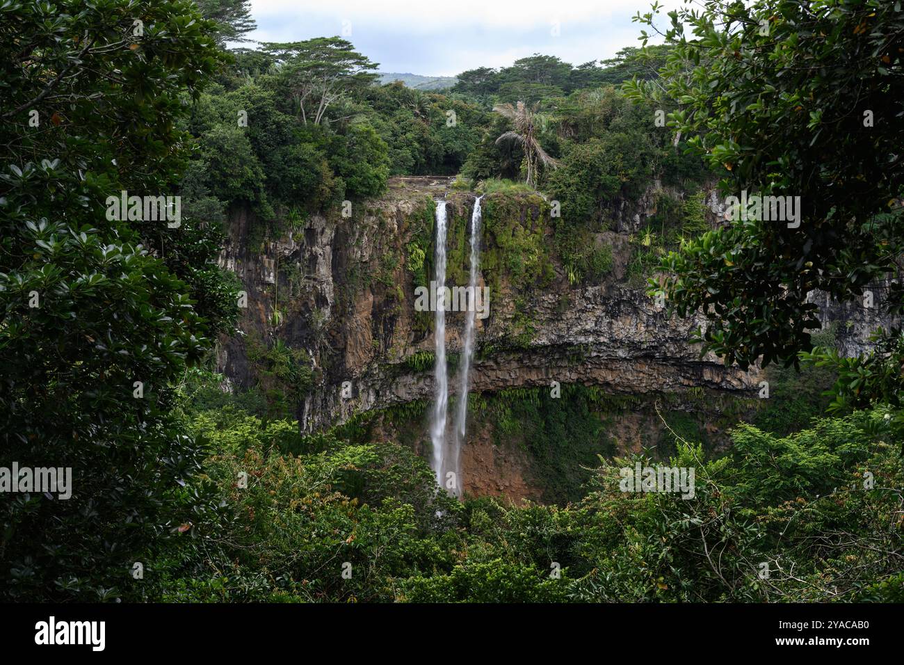 Jungle scenery hi-res stock photography and images - Alamy
