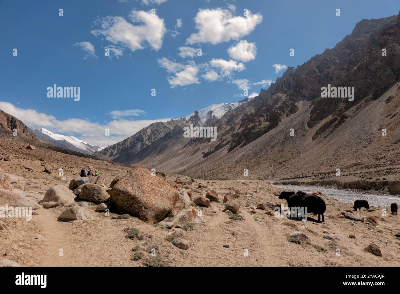 Trekking to Shimshal Pass, Shimshal, Gojal, Pakistan Stock Photo - Alamy
