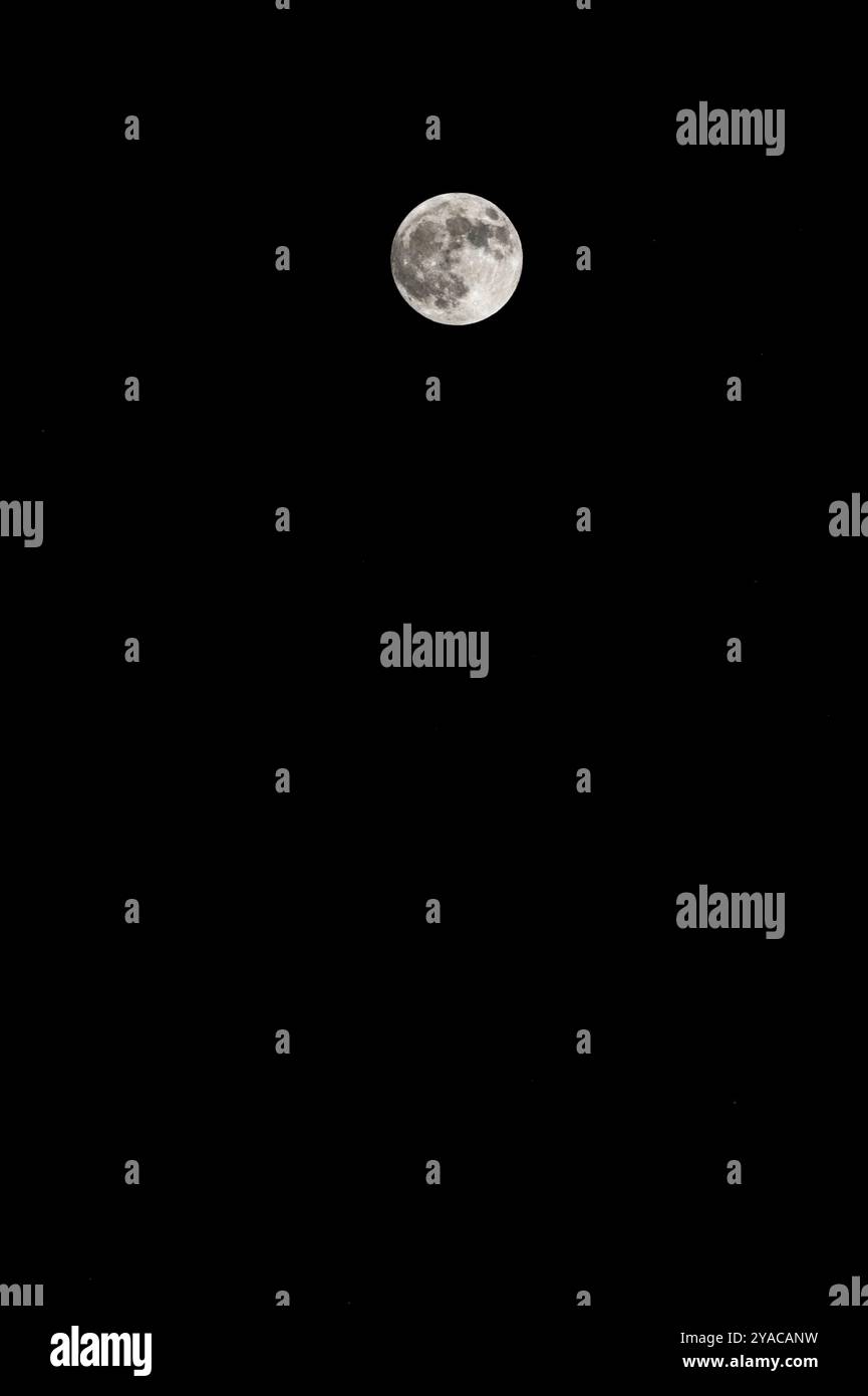 A large, bright moon is rising in the night sky vertical framing. The ...