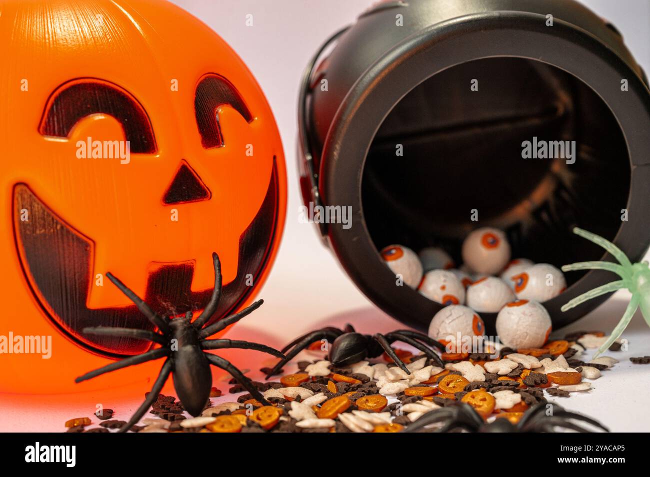 Halloween decorations with a pumpkin and spider. The pumpkin has a ...