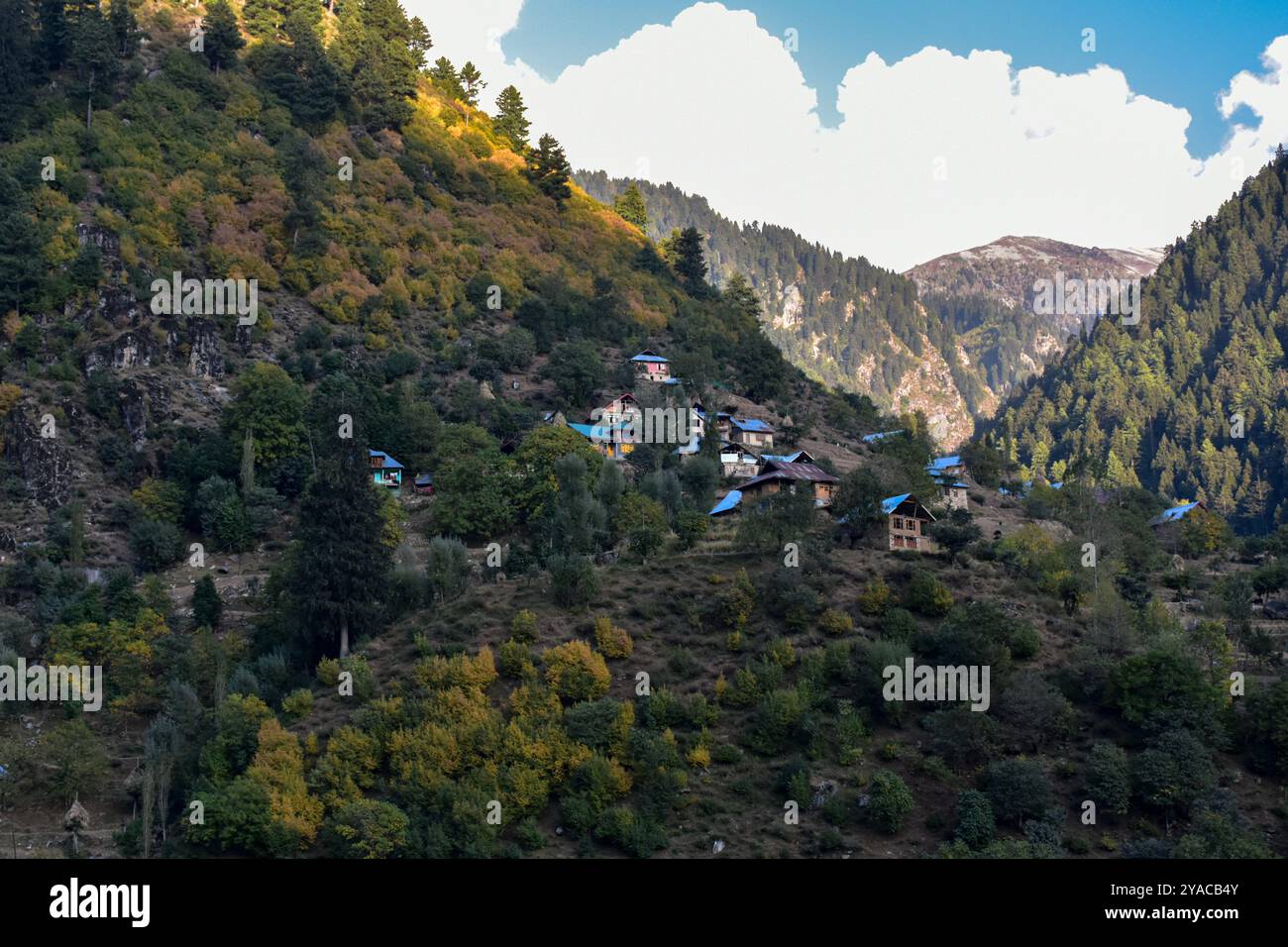 Residential houses are seen surrounded by the colorful trees during an ...