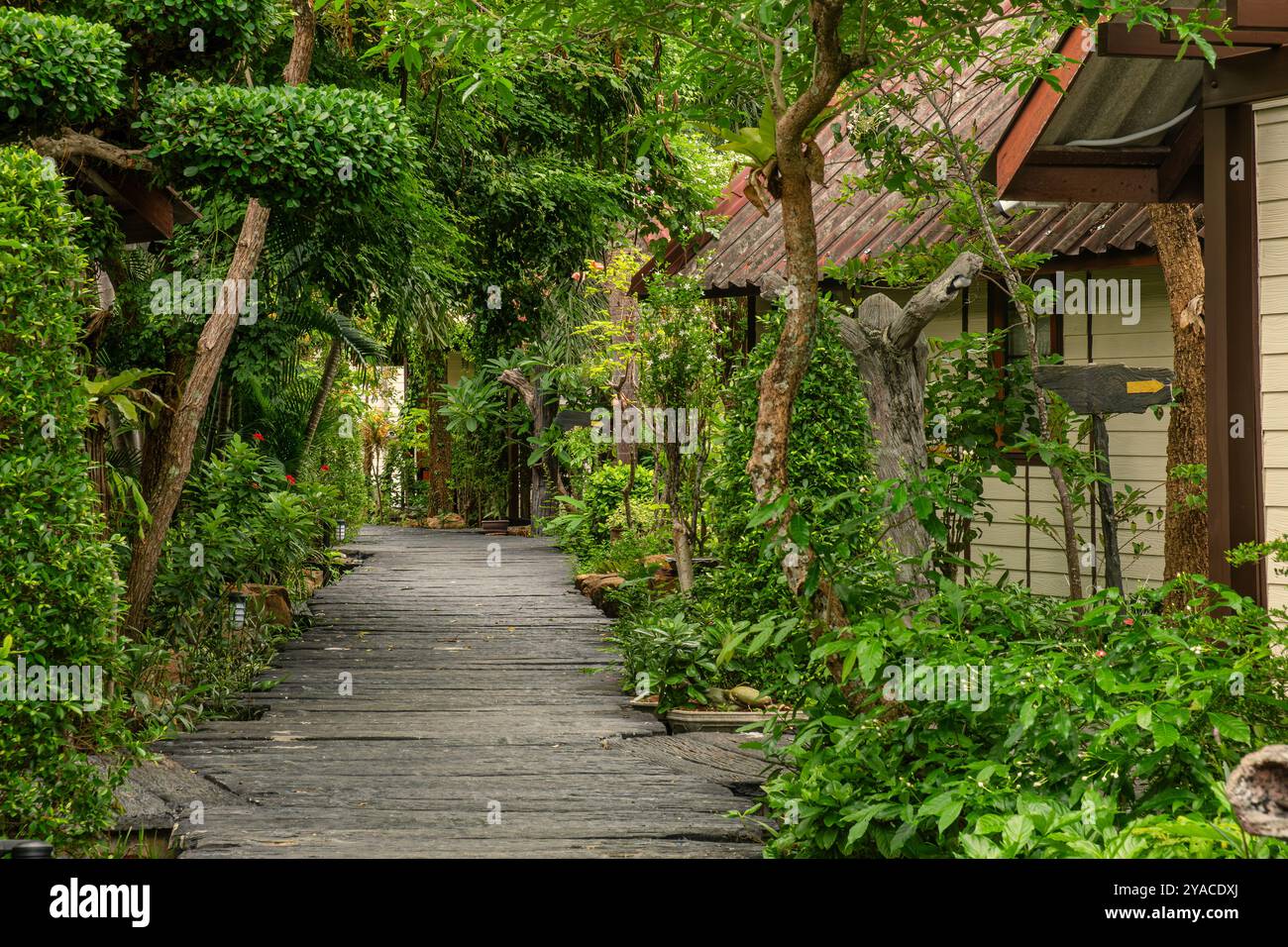 Eco-lodges in tropical resort with wooden walkway and lush, green ...