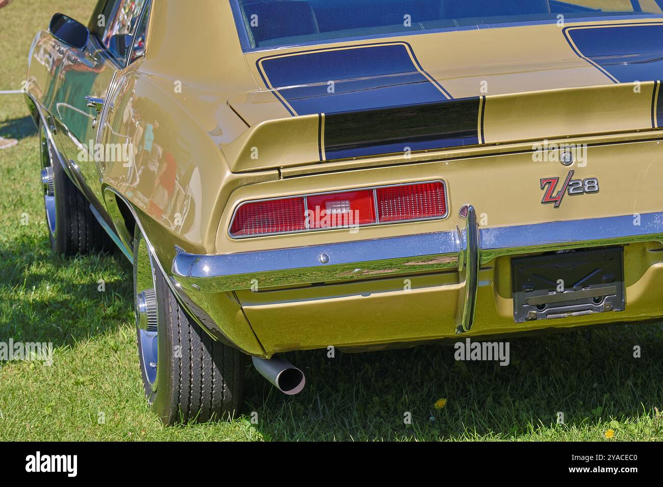 Beautifully restored gold chevrolet camaro z28 is showing its rear end ...